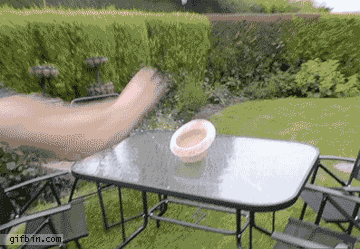 Damien Walters Hat Flip | Best Funny Gifs Updated Daily