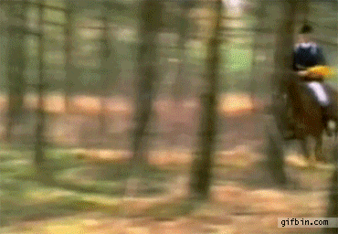Horse jumping fail - Reverse gif | Best Funny Gifs And Animated Gifs ...