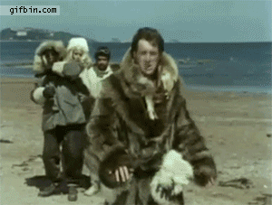 Monty Python - Lion Fight | Best Funny Gifs Updated Daily