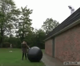Jumping On Ball Fail | Best Funny Gifs Updated Daily