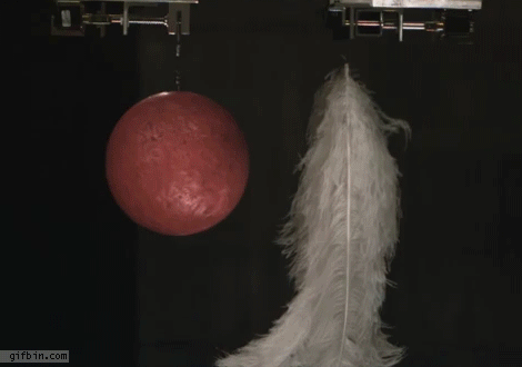 Feather And A Bowling Ball Fall At The Exact Same Speed In Vacuum ...