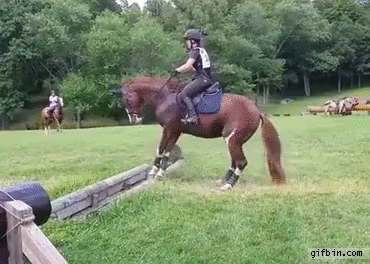 Funny Horse Jumping Pictures