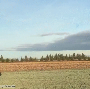 Working The Field | Best Funny Gifs Updated Daily