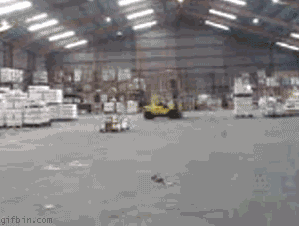 Forklift Trick Fail | Best Funny Gifs Updated Daily