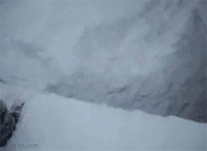 Snow Diving | Best Funny Gifs Updated Daily