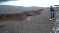 River Jump Fail | Best Funny Gifs Updated Daily