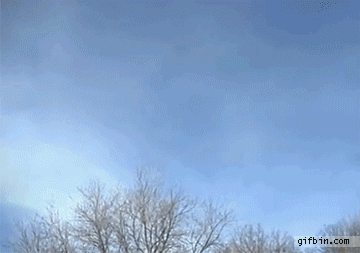 Golden Eagle Snatches Kid | Best Funny Gifs Updated Daily