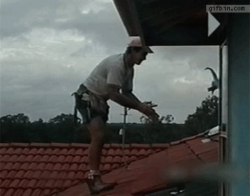Carpenter Takes His Stand For A Walk | Best Funny Gifs Updated Daily