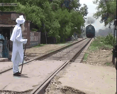 Yogi Ain't Afraid Of No Train | Best Funny Gifs Updated Daily