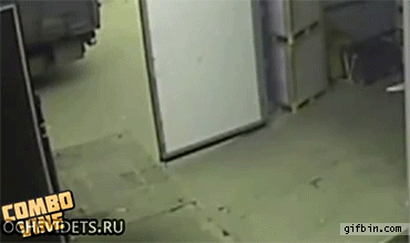 Pallet Jack Operator Has A Bad Day | Best Funny Gifs Updated Daily