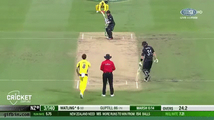 Awesome Cricket Catch | Best Funny Gifs Updated Daily