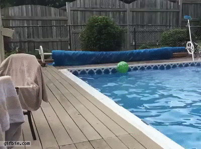 Kid Misses Pool | Best Funny Gifs Updated Daily