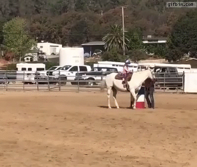 Woman catches kid falling off horse - Full screen | Best Funny Gifs And ...