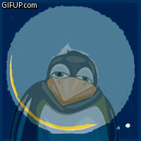 Trippy Penguin | Best Funny Gifs Updated Daily