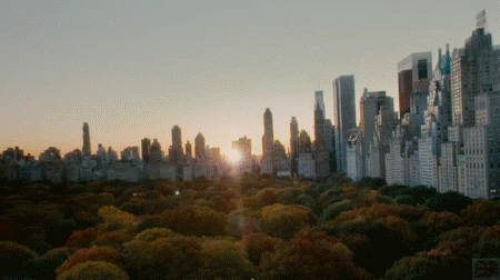 Central Park Time Lapse | Best Funny Gifs Updated Daily