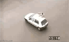 Amazing Police Dog Catches Shooter | Best Funny Gifs Updated Daily