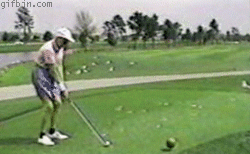 Golfer Accidentally Hits Bird | Best Funny Gifs Updated Daily
