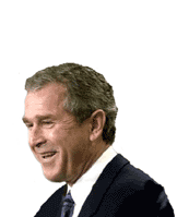 Bush In Bush | Best Funny Gifs Updated Daily