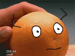 Killing An Orange | Best Funny Gifs Updated Daily