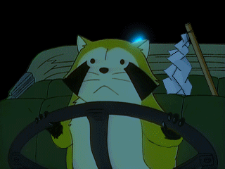 Racoon Driving | Best Funny Gifs Updated Daily