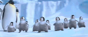 Happy Feet Little Penguins Dancing | Best Funny Gifs Updated Daily