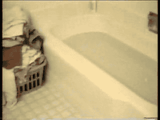 Cat Bath Tub Fail | Best Funny Gifs Updated Daily
