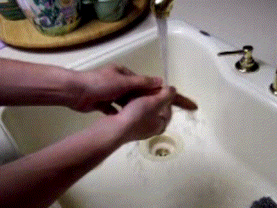 Wiener Cleaner | Best Funny Gifs Updated Daily