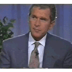 Bush | Best Funny Gifs Updated Daily