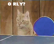 Cats Playing Ping Pong | Best Funny Gifs Updated Daily