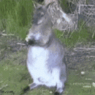 Slip On Ice Breakdance Moves | Best Funny Gifs Updated Daily