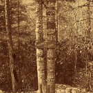 Woman Aging In Time-lapse | Best Funny Gifs Updated Daily